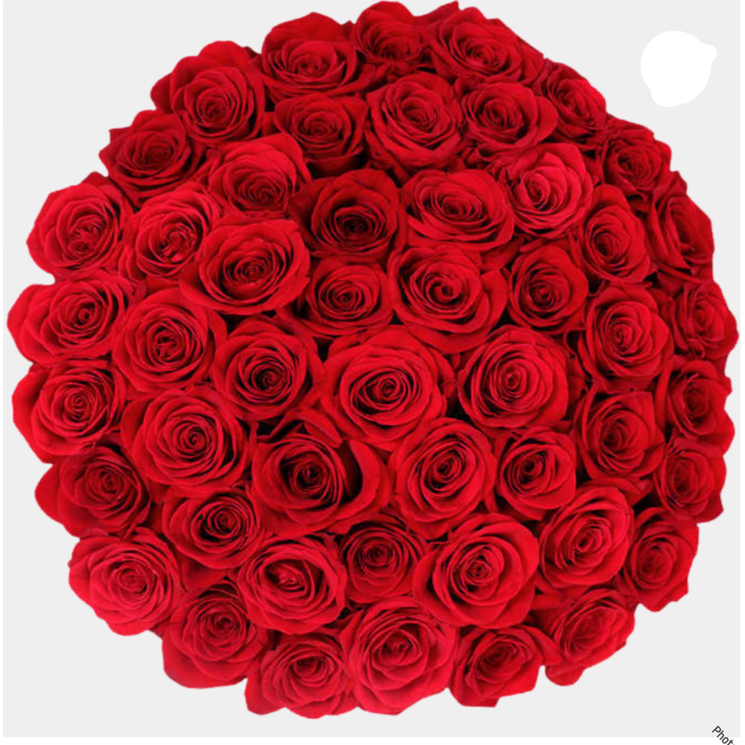 Pakistani 50 Rose Bouquet - Gift Mix Services